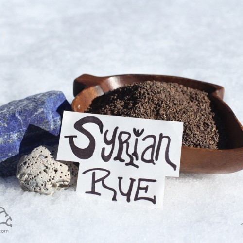 Syrian Rue Seeds PEGANUM HARMALA *Organic* – Eternity in a Box Botanicals