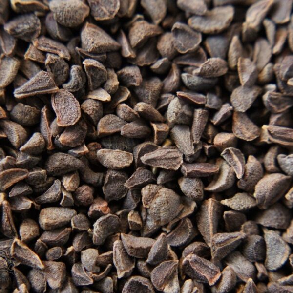 Syrian Rue Seeds PEGANUM HARMALA *Organic* – Eternity in a Box Botanicals