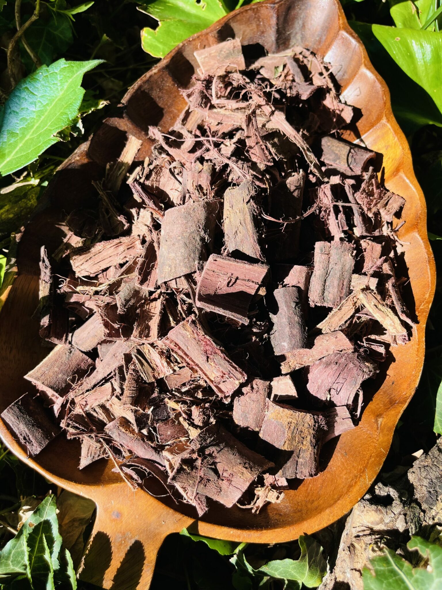 Mimosa + Syrian Rue Bundle SMALL - Eternity in a Box Botanicals